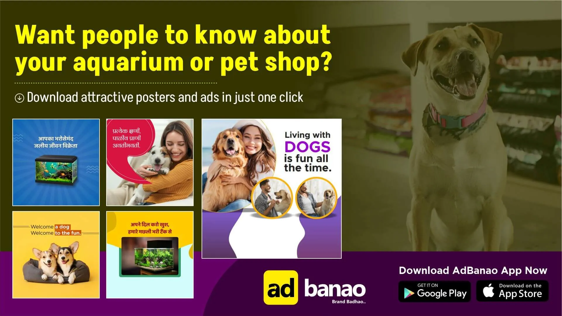 Pets business and aquarium business posters and video for free on ...